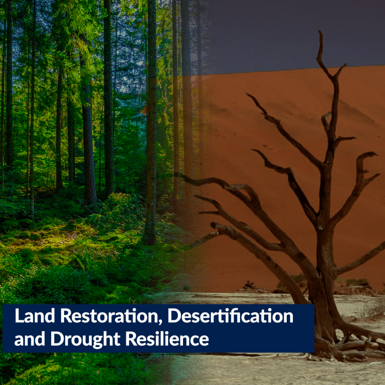 World Environment Day 2024: Land Restoration, Desertification, and ...